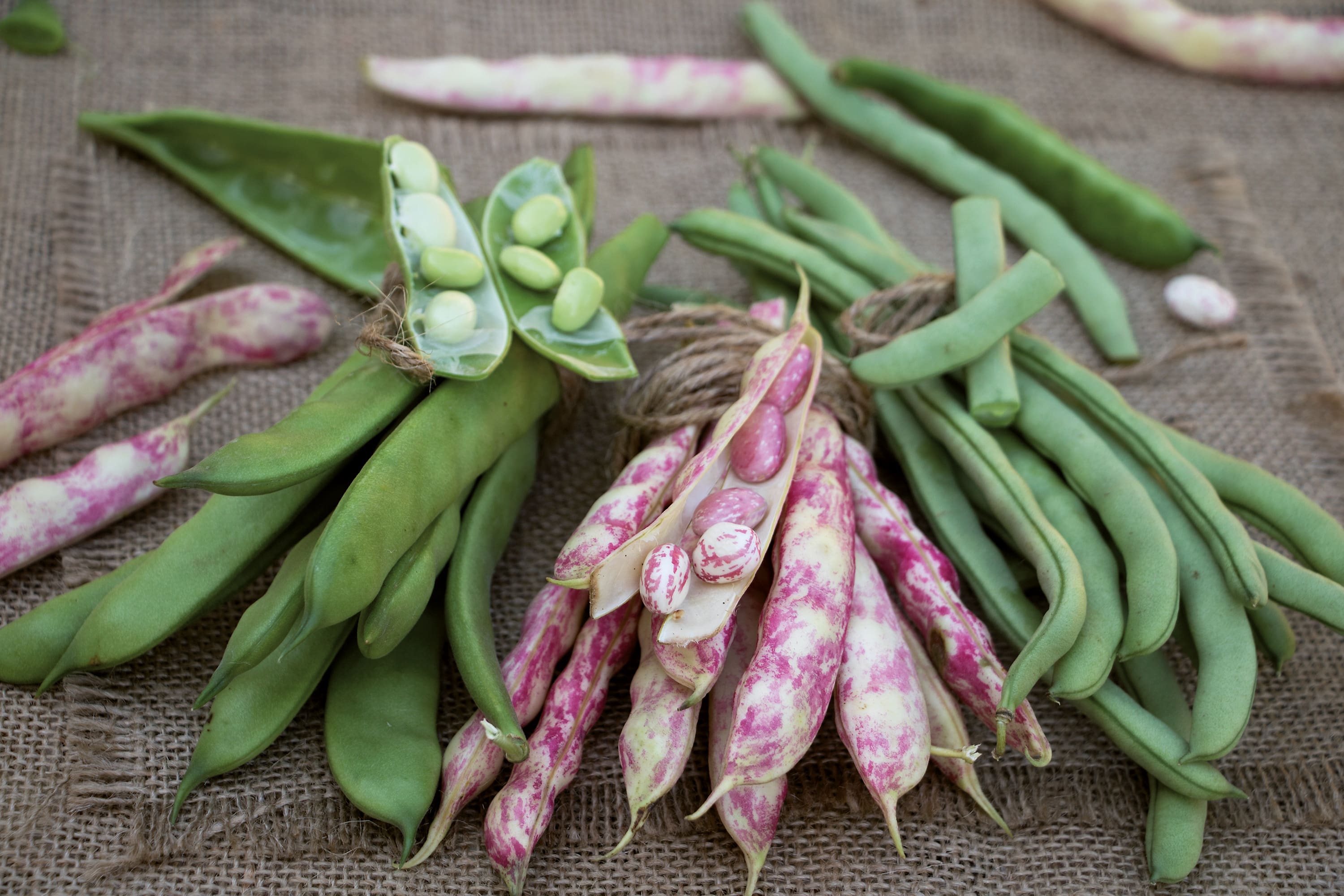 Journée internationale des légumineuses: tout savoir sur ces haricots ...