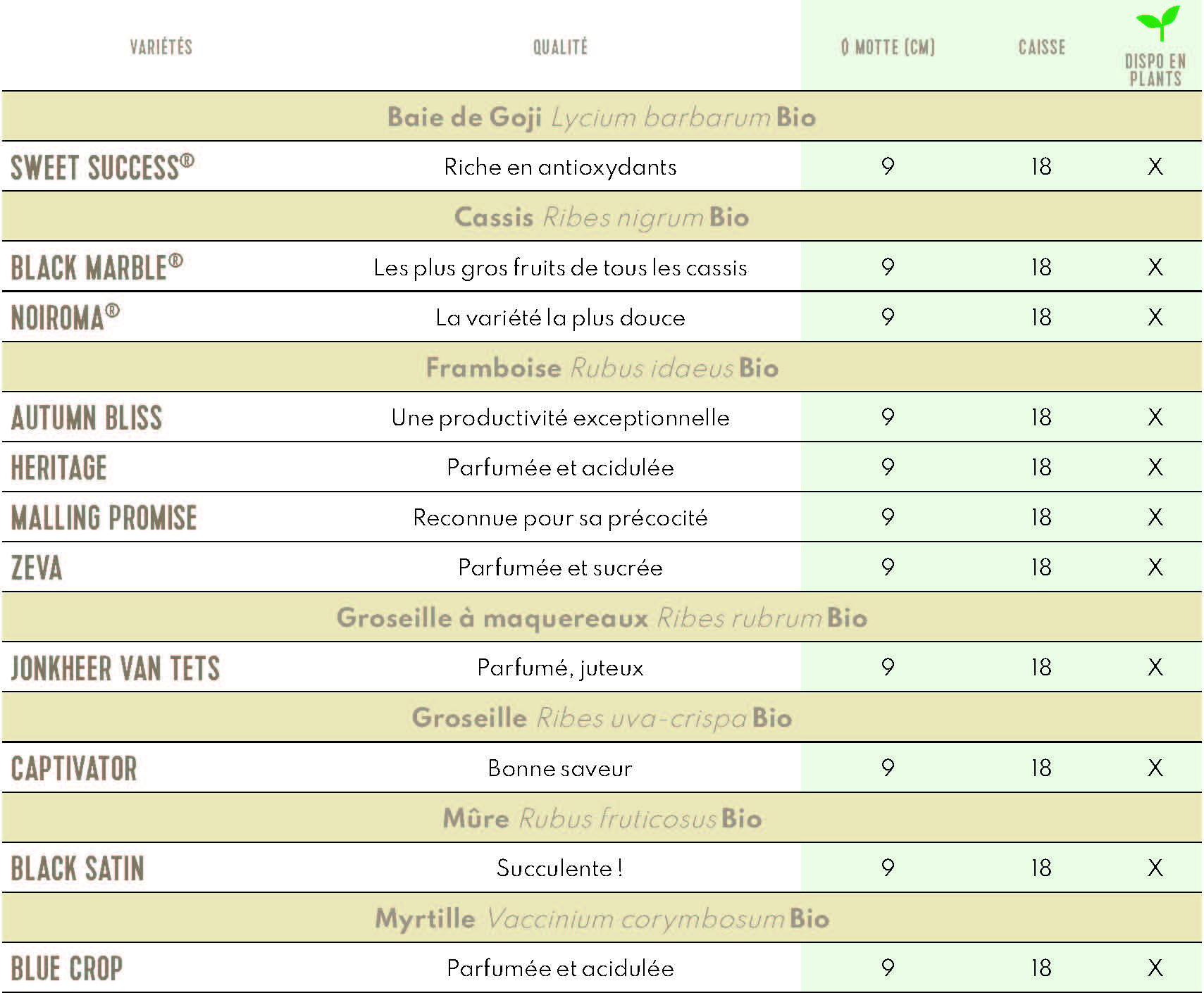Découvrez notre gamme de petits fruits BIO | VOLTZ Maraîchage